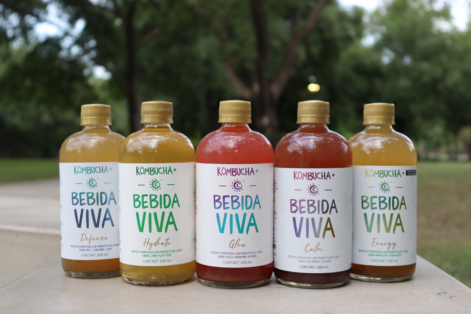 Nosotros – Bebida Viva